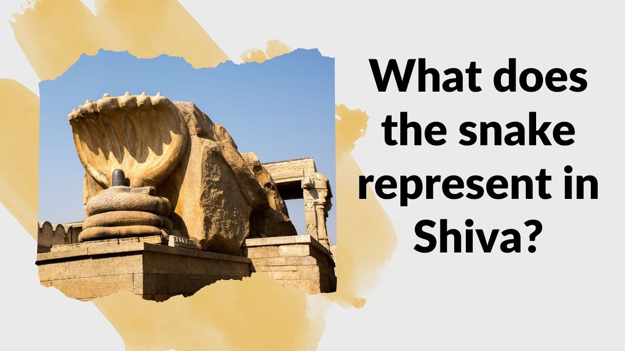The Symbolism of the Snake in Shiva| Snake Symbolism in Shiva ...