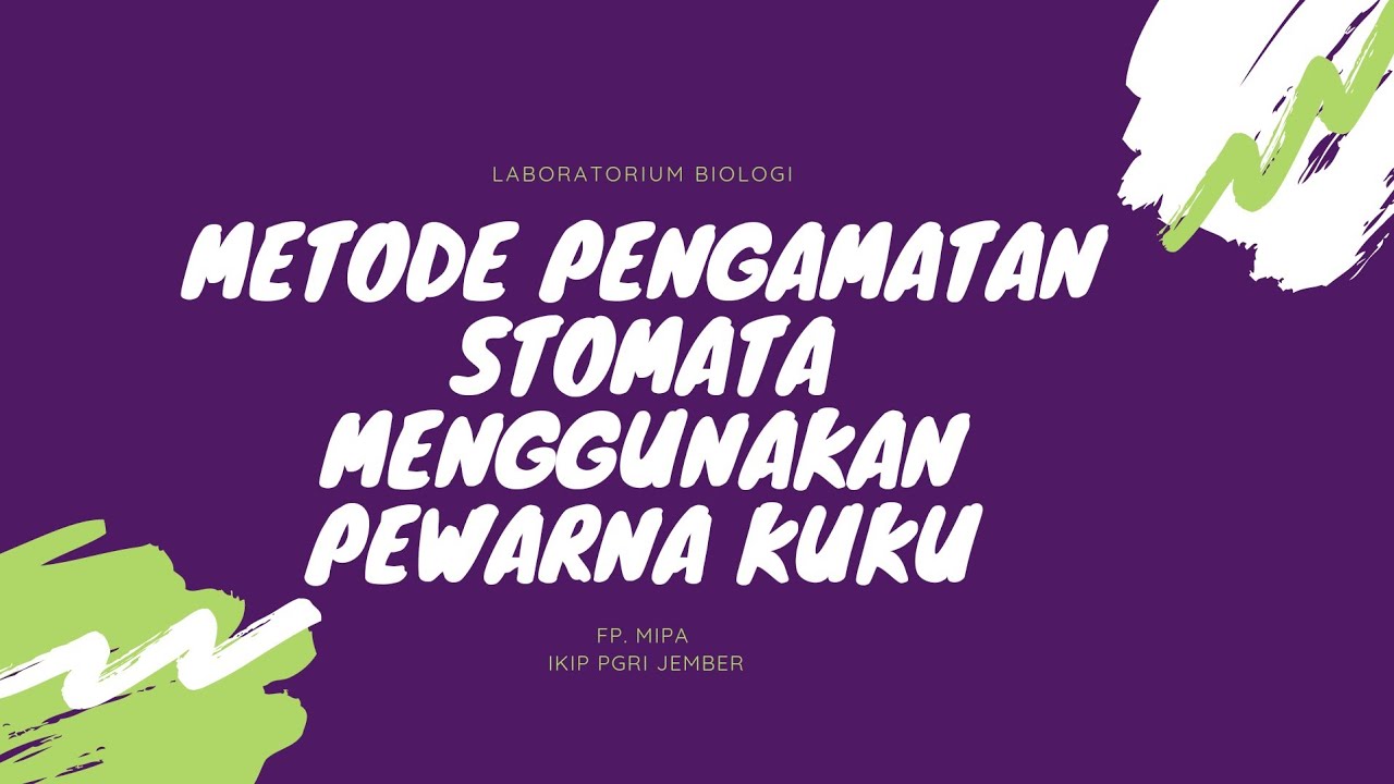 Metode Pengamatan Stomata Menggunakan Pewarna Kuku - YouTube