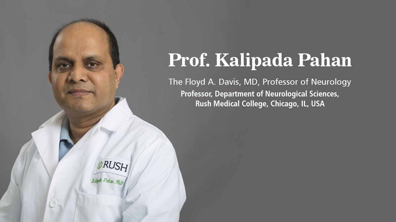 Seminar Lecture by Prof. Kalipada Pahan - YouTube