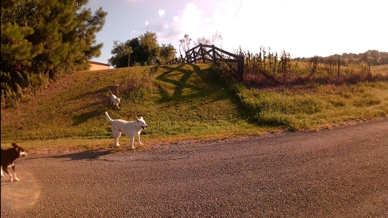 Modded Axis M200 Wheelie! - YouTube