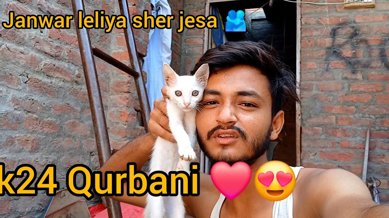 Janwar leliya Sher jaisa 🫂👀 |dekhoooo bhai ka janwar| 💖 - YouTube