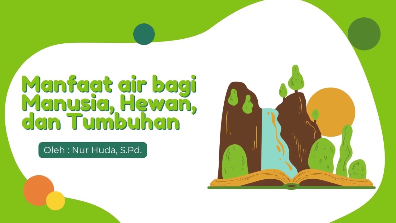 Manfaat Air bagi Manusia, Hewan, dan Tumbuhan - YouTube