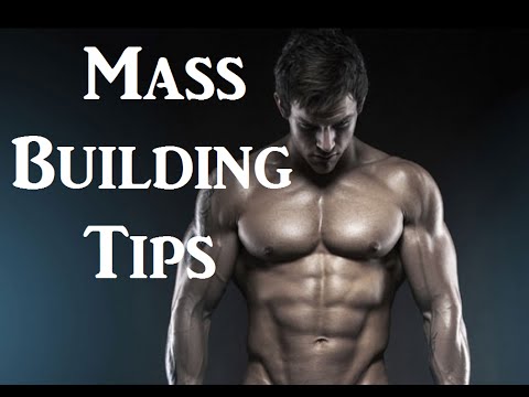 5 Mass Building Tips for Guaranteed Muscle Growth - YouTube