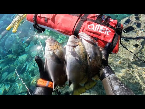 Ρηχό Ψαροντούφεκο!! Δυνατές Συγκινήσεις!!! HD 1080p - YouTube
