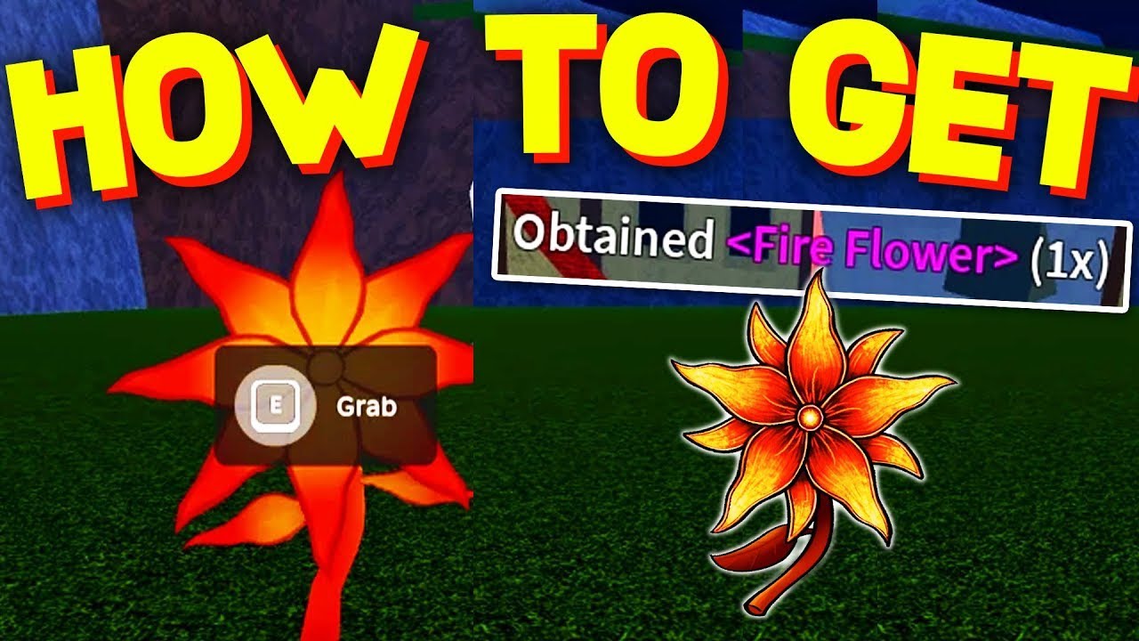How To Get FIRE FLOWER In Blox Fruits Roblox! 🌺 Find Fire Flower FAST ...