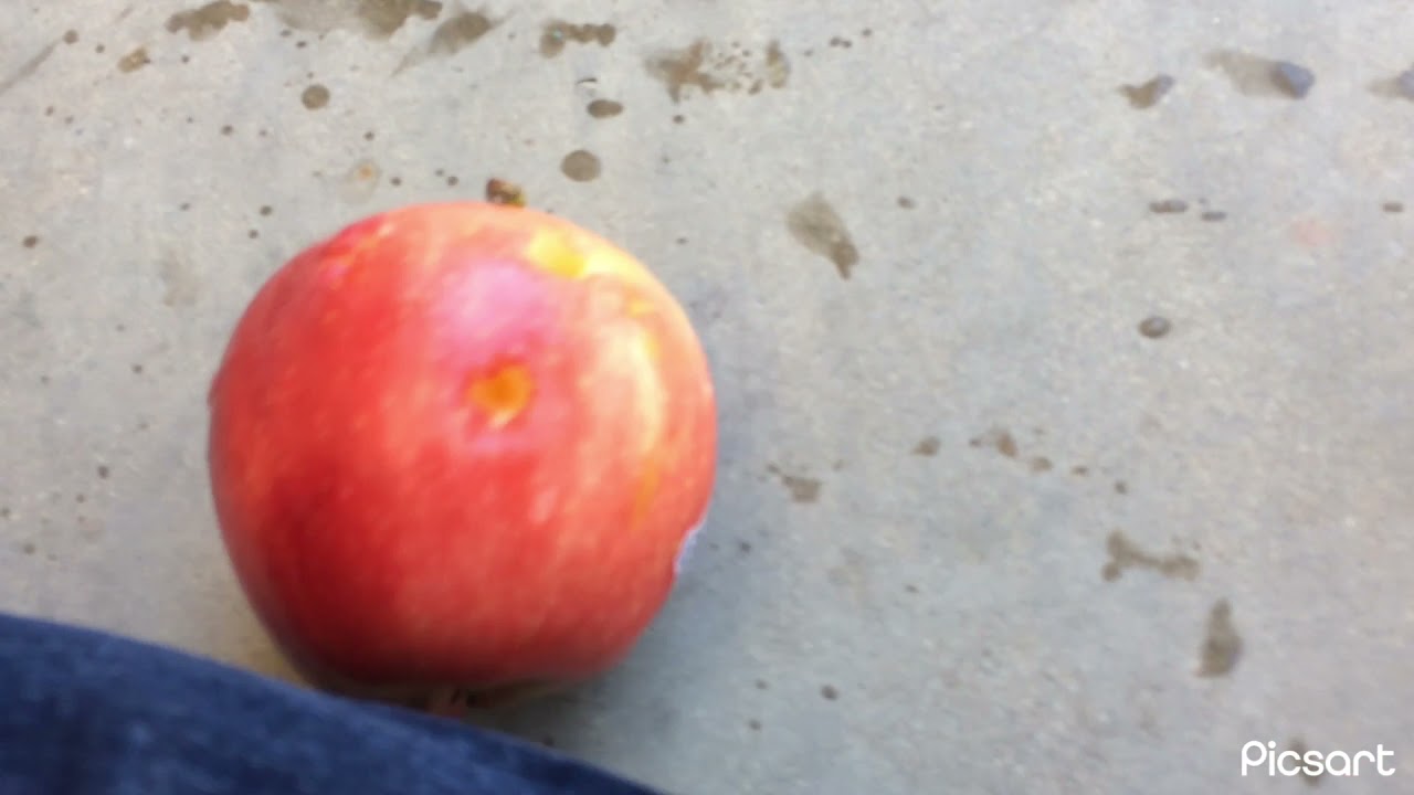 Bored Smashing: Apple Edition - YouTube