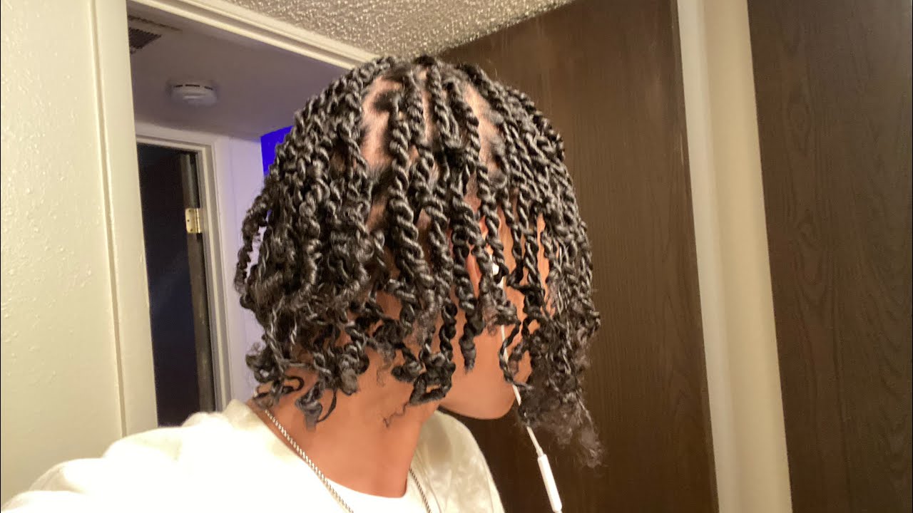 Starting My New Two Strand Twist DreadLock Journey After Combing My ...