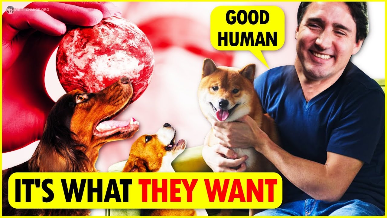 They Got “CAUGHT” Again... - YouTube