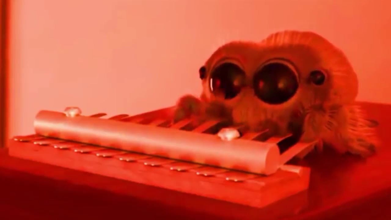 LaDiDaDiDa Spider || ЛаДиДаДиДа паучок - YouTube