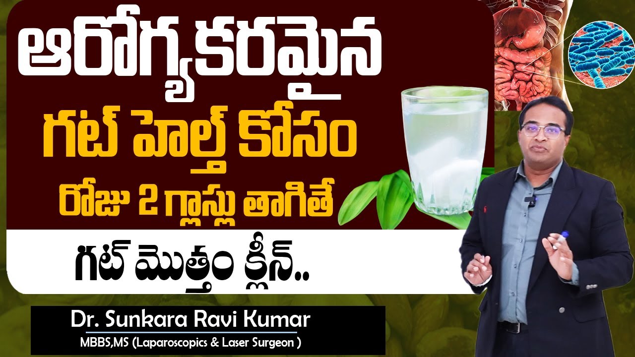 Food to Improve Gut Health in Telugu | Dr Sunkara Ravi Kumar About Gut ...