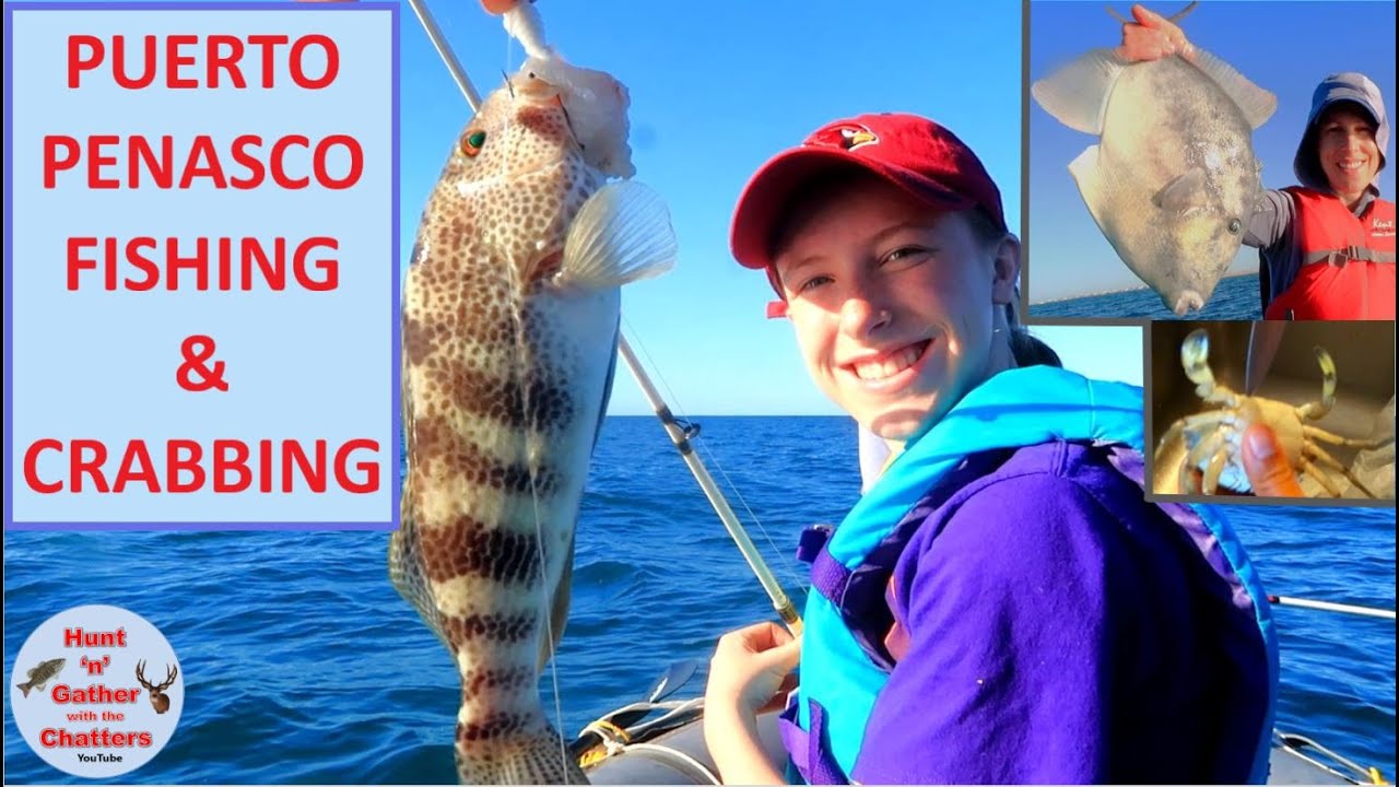 ROCKY POINT FISHING & CRABBING - Mexico - Triggerfish, Sand Bass, Crabs ...