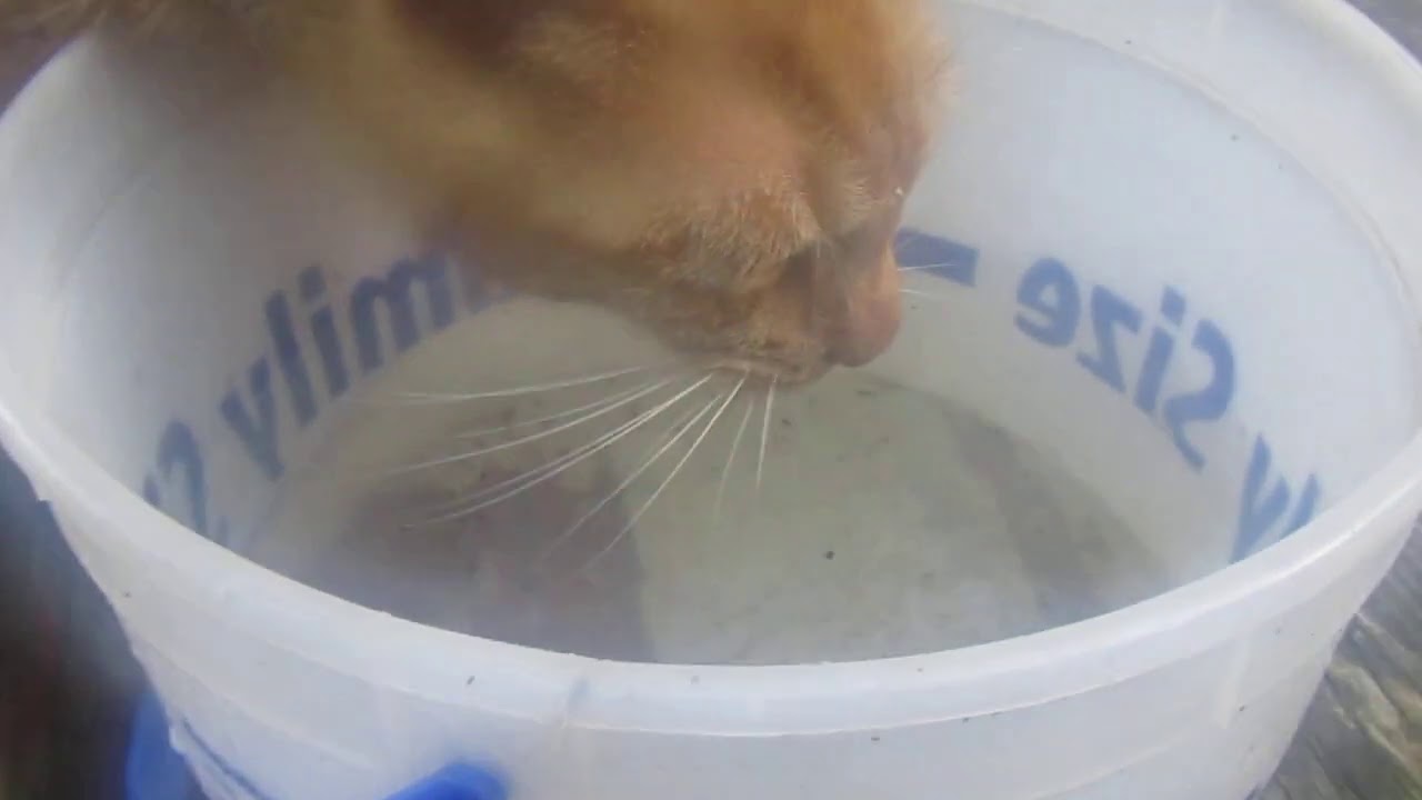 Puff drinking water - YouTube