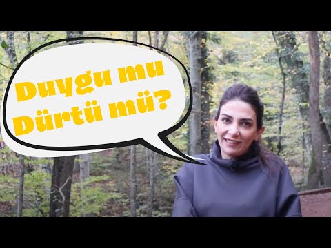 Duygu Nedir Dürtü Nedir?