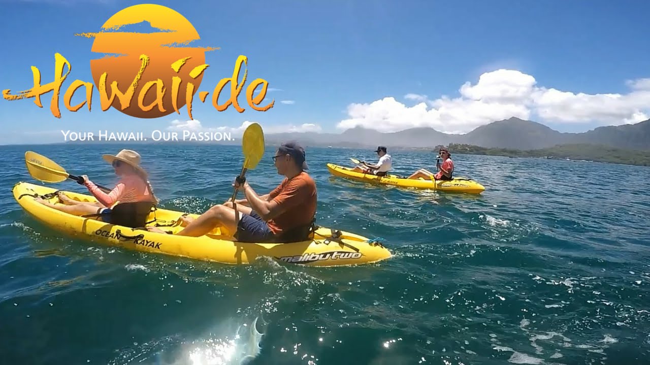 Hawaii's best adventures / kayaking to sunken islands - YouTube