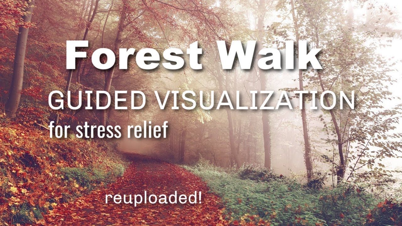 FOREST WALK Guided Visualization for Stress Relief (reuploaded ...