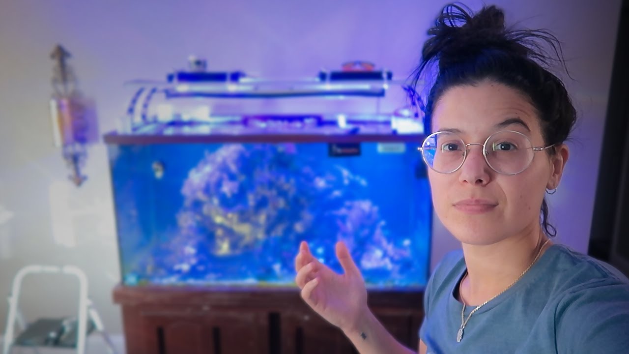 The Aftermath Of A Reef Tank Crash - YouTube
