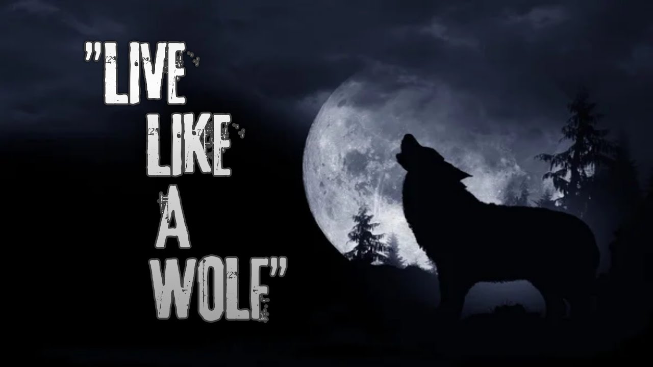 Live like a Wolf | Motivational video | Habits of a wolf | Motivational ...