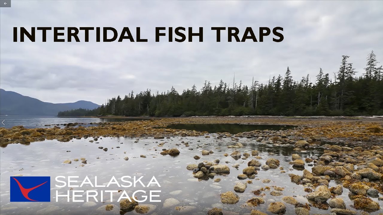 Intertidal Fish Traps at Unnamed Beach and Fern Point, Alaska - YouTube