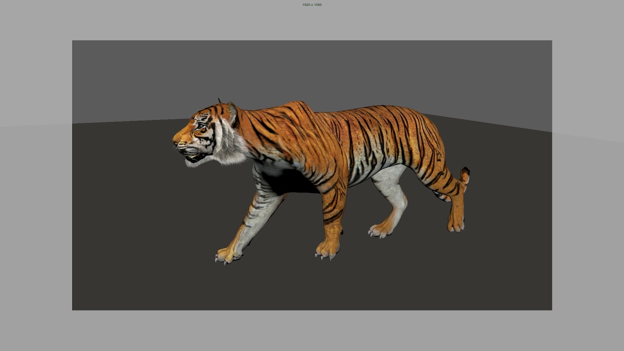 Animation - Quadruped Walk Cycle - YouTube