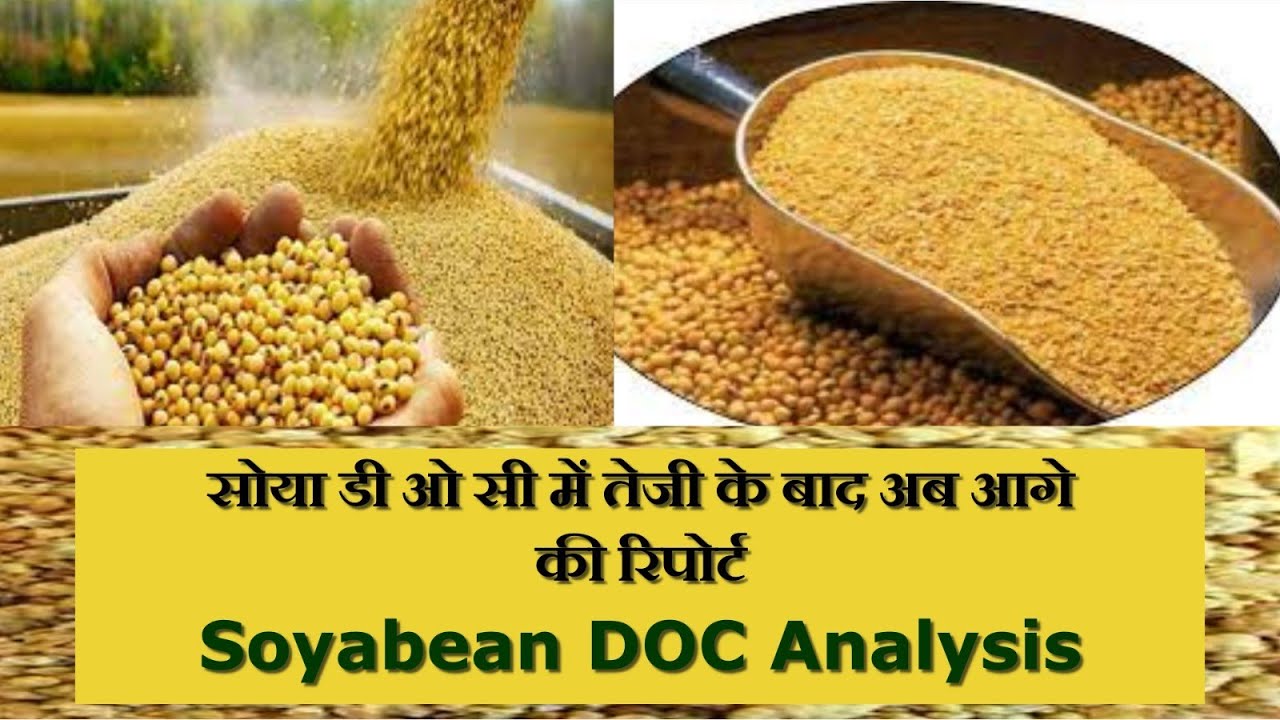 सोया डी ओ सी में तेजी के बाद अब आगे की रिपोर्ट। Soyabean DOC Analysis ...