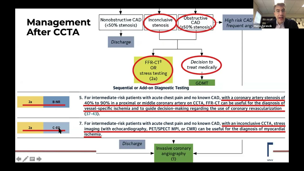 Sponsored webinar | Delivering Precision Patient Care with HeartFlow ...
