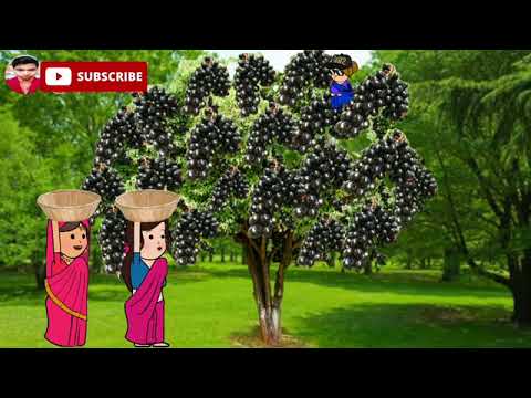 Lalka jiji funny comedy||Lalka jiji cartoon||New Jiji wala cartoon ...