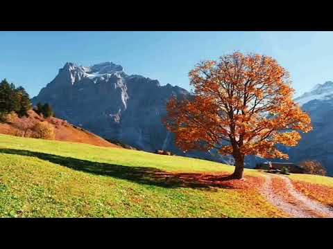 Echo effects, Aap Ka Jawaab Kya (Phool Ka Shabaab Ka, Mohammed Rafi, Farz Ki Jung (1989) 