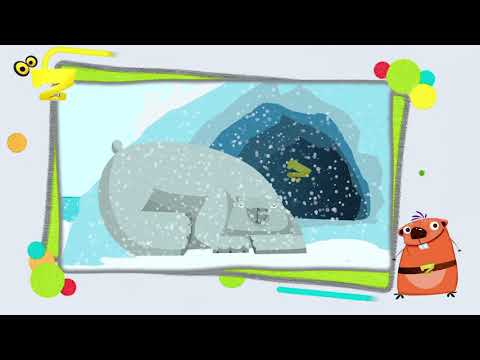 Zarok TV - زارۆک تیڤی - Bipirse Hey Bipirse - 12 (Heşê Hewnokî - Kirmanckî)