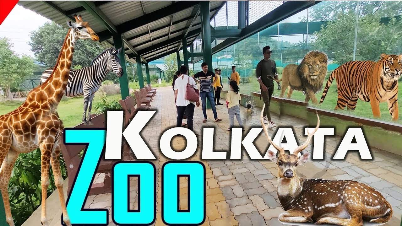 Alipore Zoo, Kolkata - YouTube