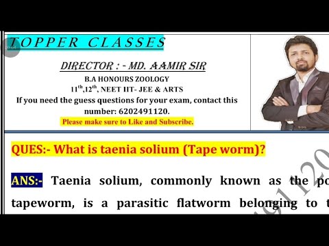What is taenia solium (Tape worm)? || aamir sir patna - YouTube