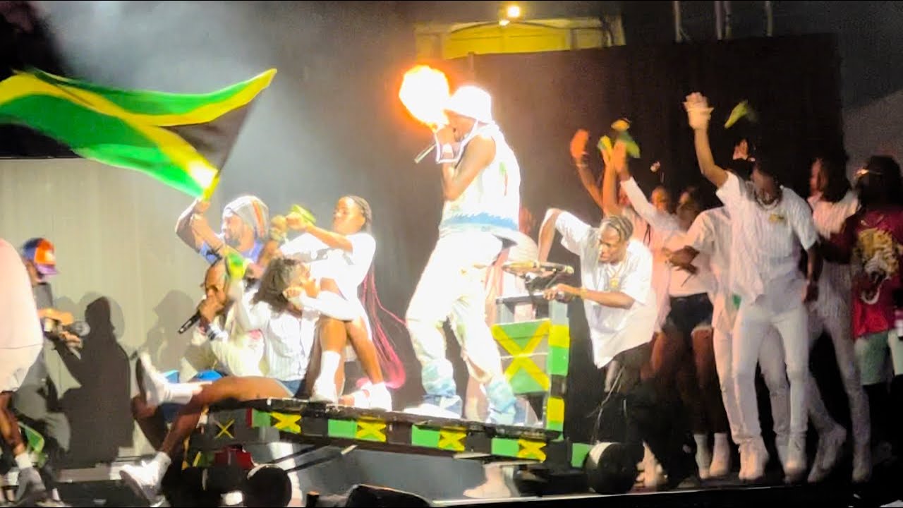 Ding Dong Roll In Pon A Cart At Chris Brown & Friends, Best Performance ...