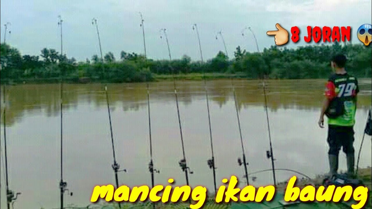 Seru..!!! Mancing ikan tagih di muara cimanuk dan cikeruh (ligung) team ...
