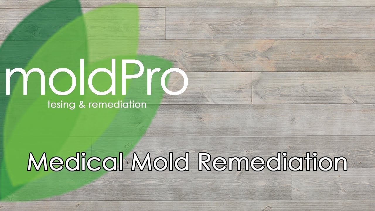 How MoldPro Specializes in Medical Mold Remediation - YouTube