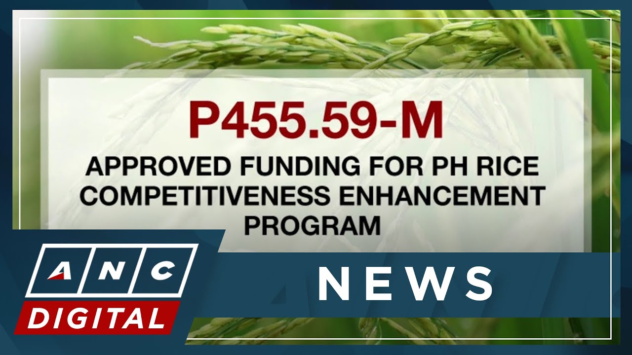 PH gov't approves P455-M funding to improve rice farmers ...