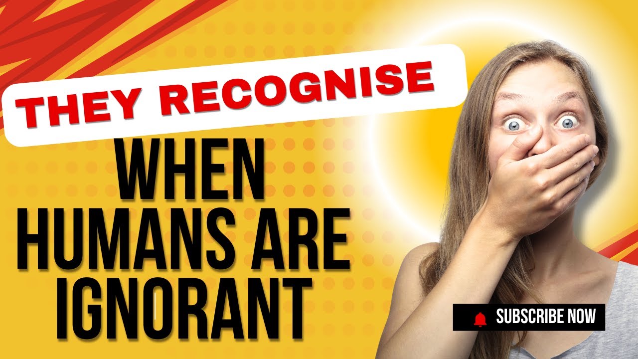 Bonobos Recognize When Humans Are Ignorant - YouTube