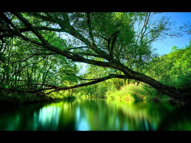 Don Williams- Til the Rivers All Run Dry-(The Best of Don Williams- Vol ...