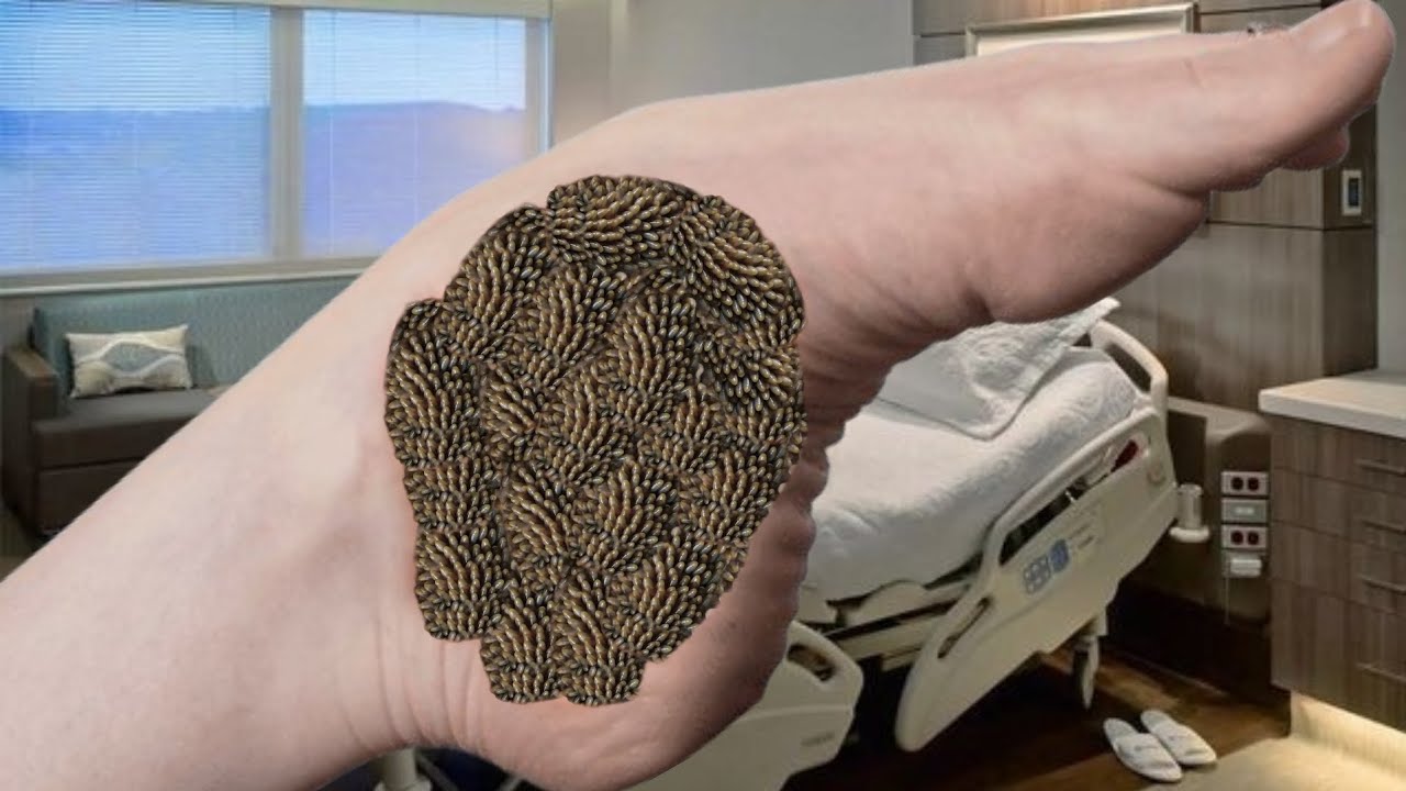 ASMR Spa Animation Deep Foot Cleaning Treatment (foot Relaxing asmr ...