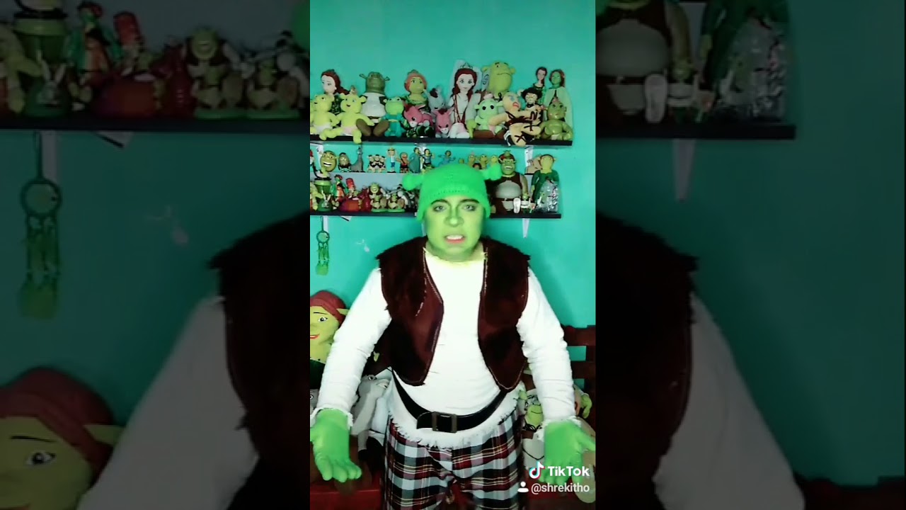 Para día de Shrek y burro Yo me opongo #tiktok #shrekitho - YouTube