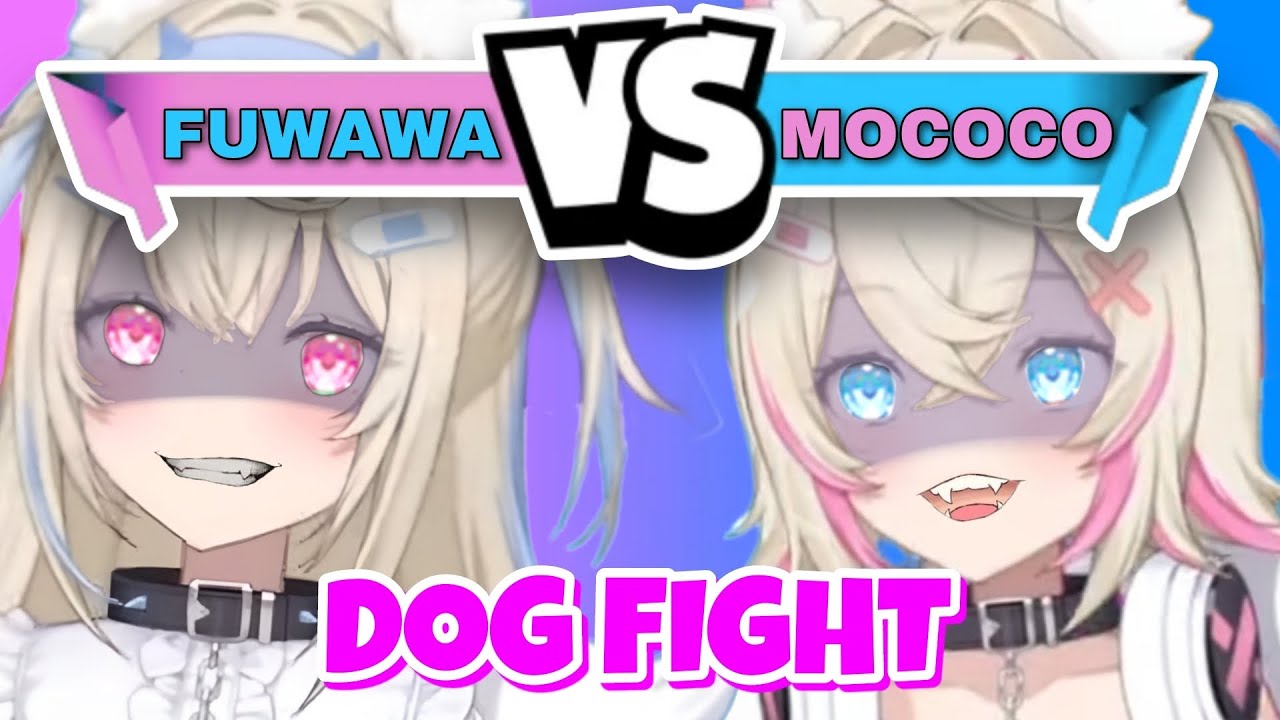 𝗙𝘂𝘄𝗮𝘄𝗮 𝗮𝗻𝗱 𝗠𝗼𝗰𝗼𝗰𝗼 𝗙𝗶𝗴𝗵𝘁𝗶𝗻𝗴 𝘁𝗼 𝗗𝗲𝗰𝗶𝗱𝗲 𝗪𝗵𝗼'𝘀 𝘁𝗵𝗲 𝗧𝗢𝗣 𝗗𝗢𝗚【𝗙𝘂𝘄𝗮𝗺𝗼𝗰𝗼】 - YouTube