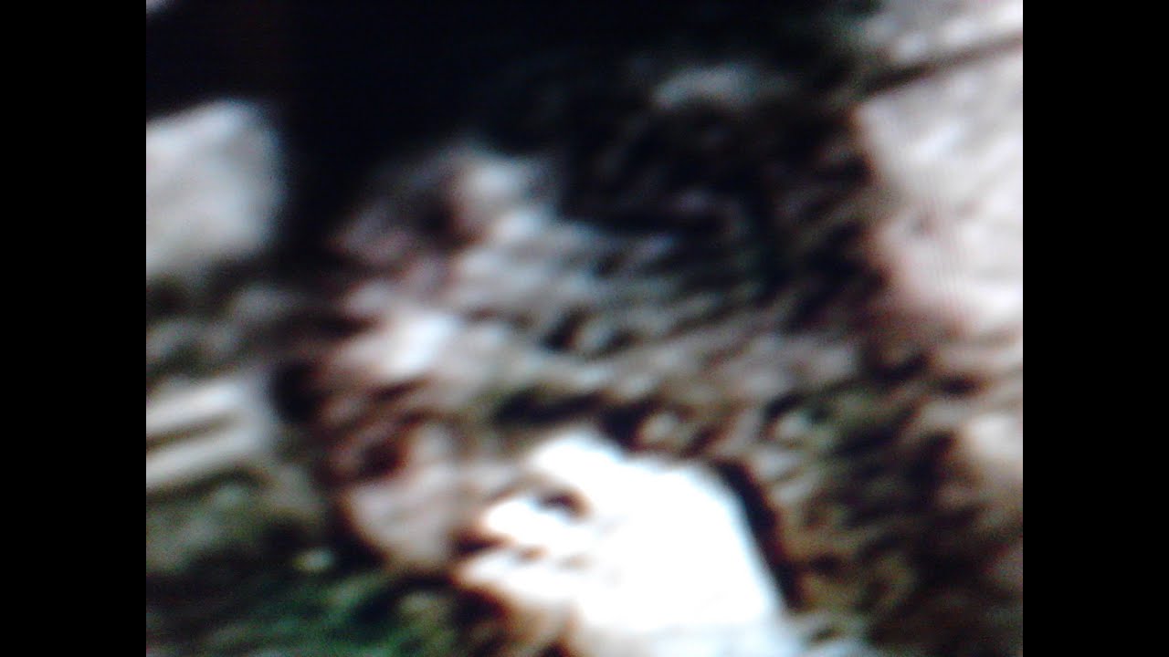 REPTILIAN DEMON MORPHEUS - HUMAN DISGUISE ILLUSION - YouTube