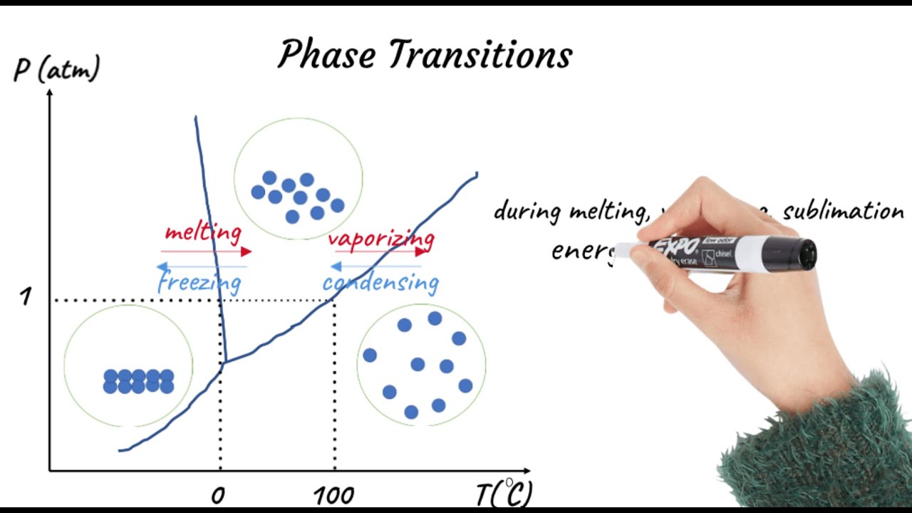 Chemistry Review: Particulate Model of Matter and Phase Behavior - YouTube