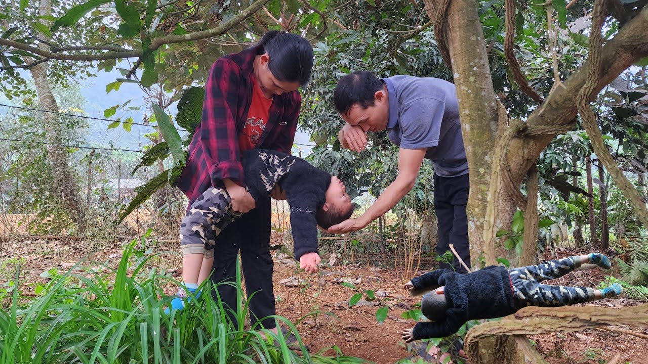 Full video 190 days of construction and memorable moments, my peaceful ...