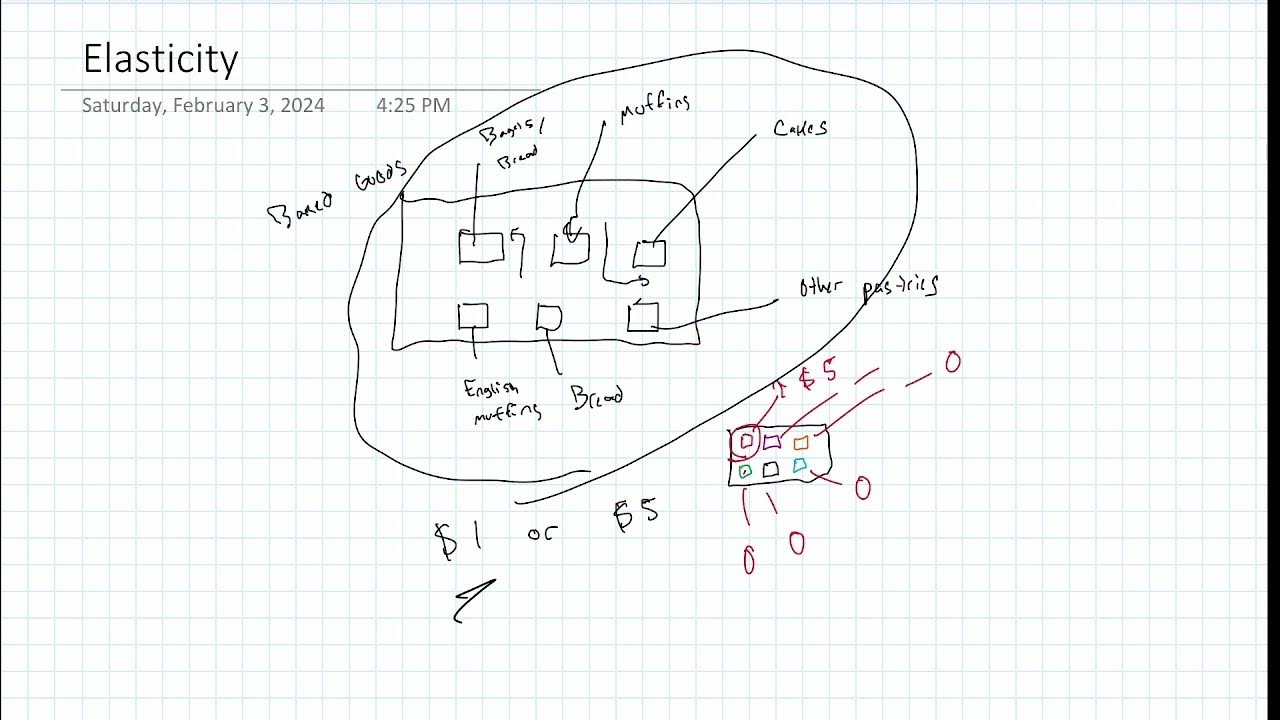 Intro to Elasticity (Part 1) - YouTube