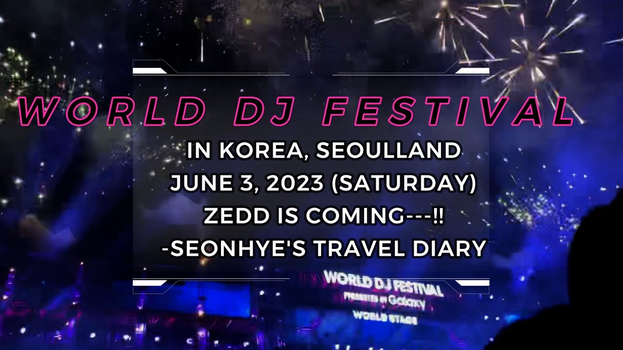인생 첫 페스티벌 도전기! | 서울랜드 | 2023 월드디제이페스티벌 | WDF | SHAUN | ACRAZE | NICKY ...