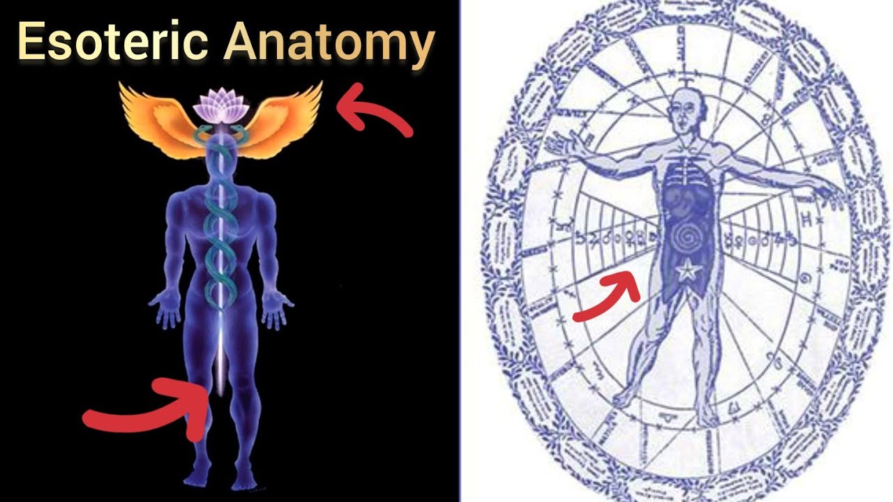 The Unseen Electromagnetic body of Human beings | The Vital body - YouTube