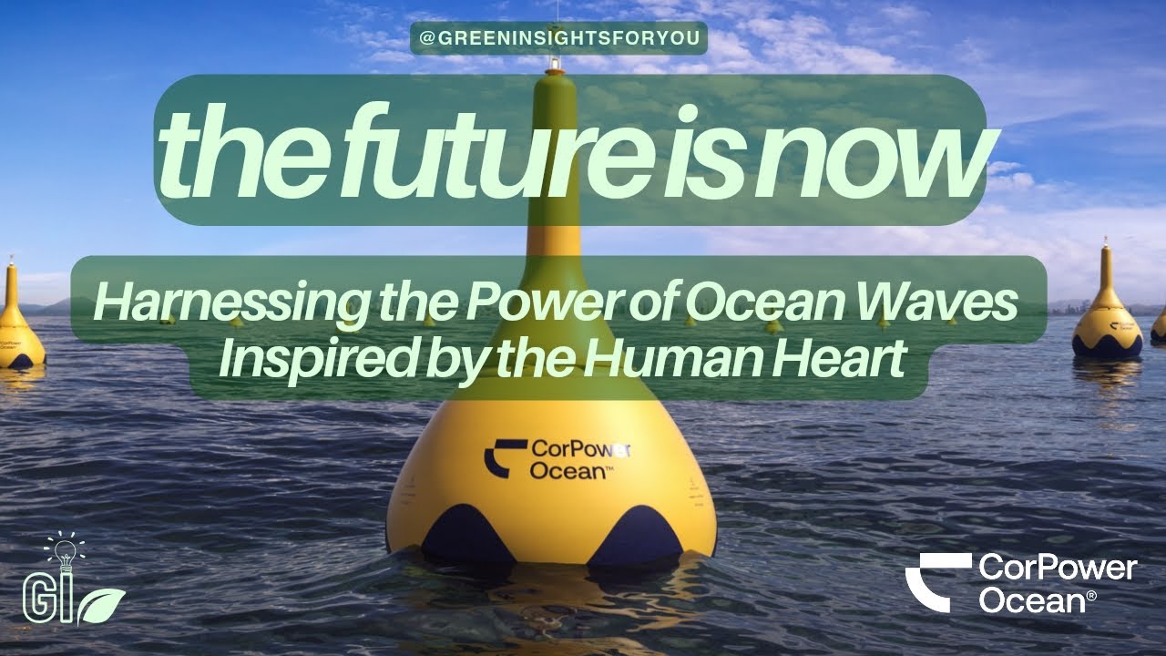 The Human Heart Can Help Us Harness the Power of the Ocean - YouTube