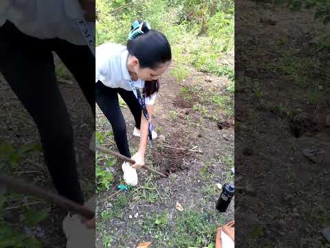 NSTP PROGRAM🫶 TREE PLANTING 🌲 - YouTube