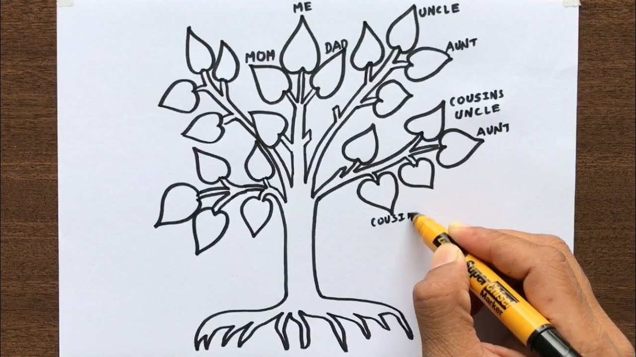 How to Draw a Family Tree - YouTube