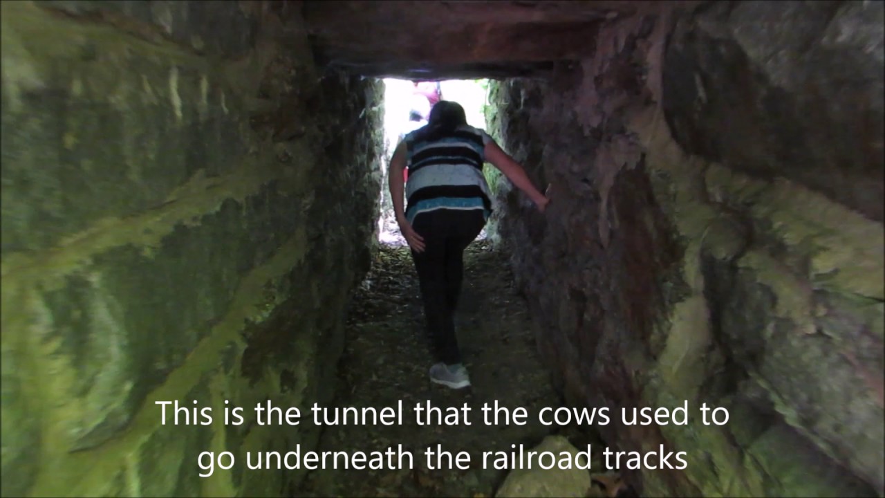 Beardsley Cow Tunnel - YouTube