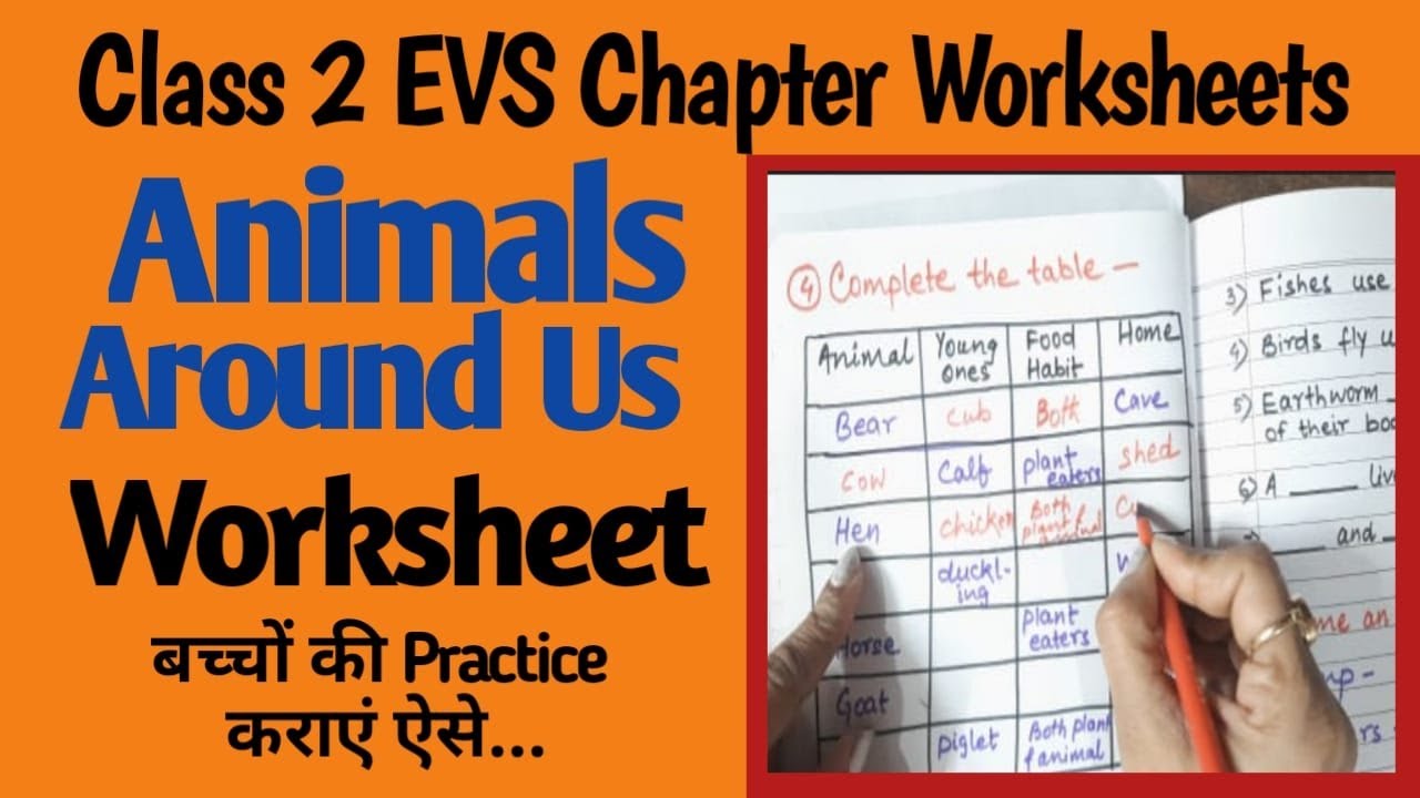 Animals Worksheet | Animals Arounds Us Worksheet | Class 2 EVS ...